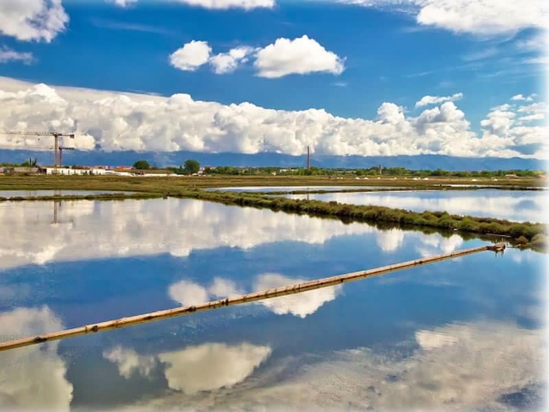 Lake Wells Australian Potash Project - Agricial.com