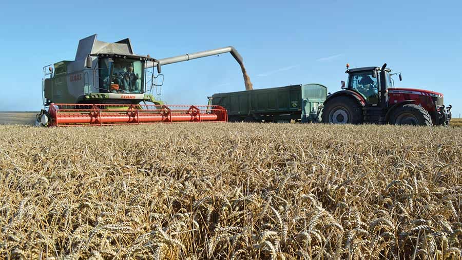 How to grow a winter wheat crop yielding 15t/ha - Agricial.com