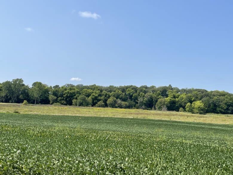 Over 1,900 Acres Of Garst Farms Sell For Over $19 Million - Agricial.com