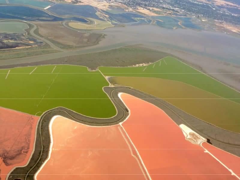 Lake Wells Australian Potash Project - Agricial.com